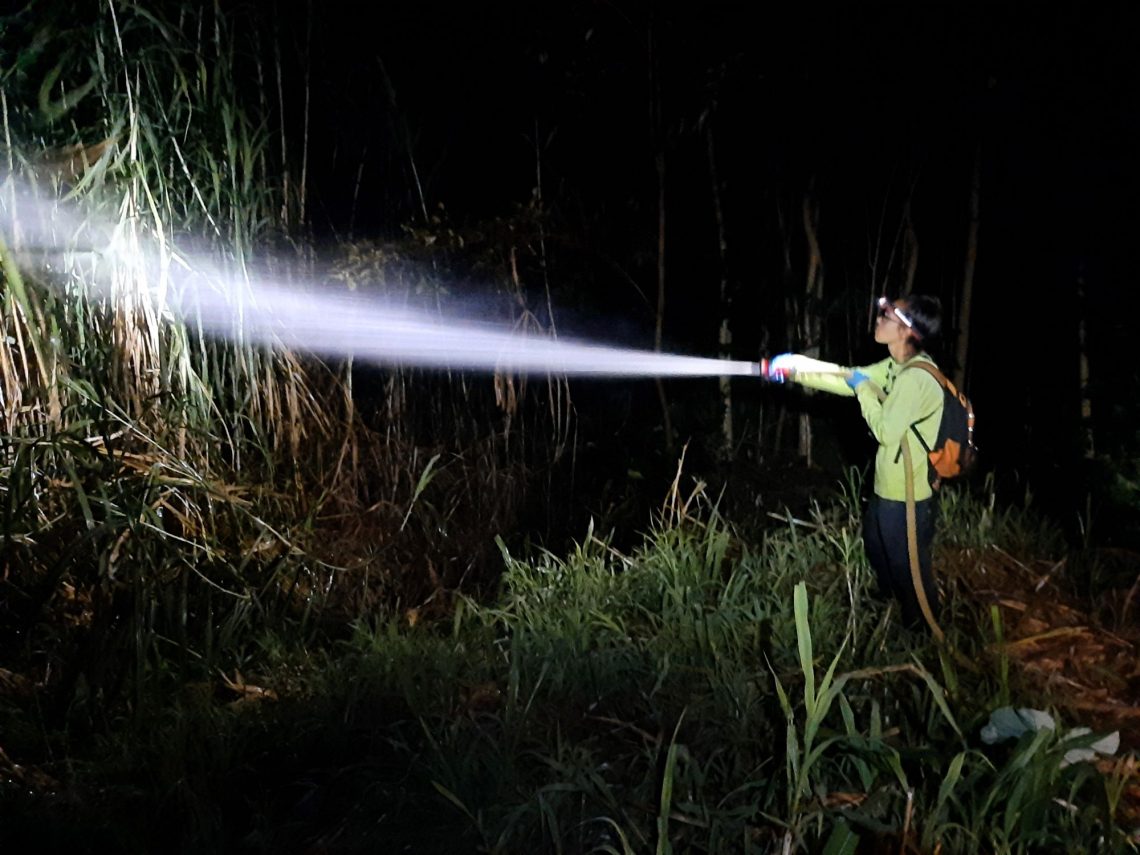 Coqui Frog Response - Maui Invasive Species Committee (MISC)