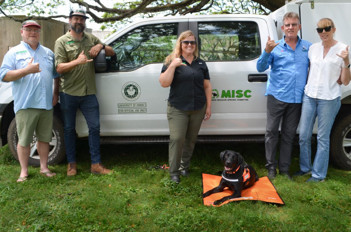 LFA Detector Dog Program — Maui Invasive Species Committee (MISC)